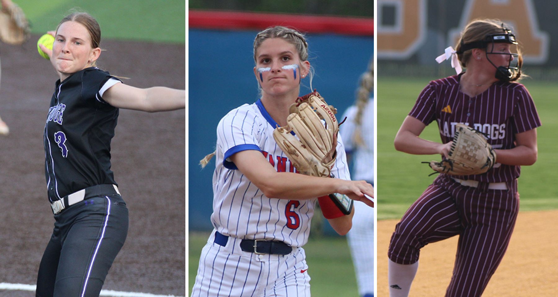The Austin Sports Journal’s 2024 All-Austin Metro Softball teams ...