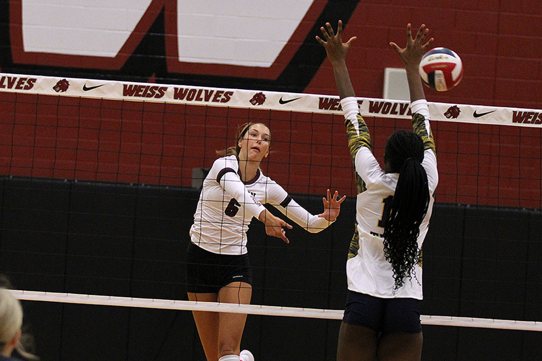 Vote for this week’s volleyball player of the week (8/29) | Austin ...