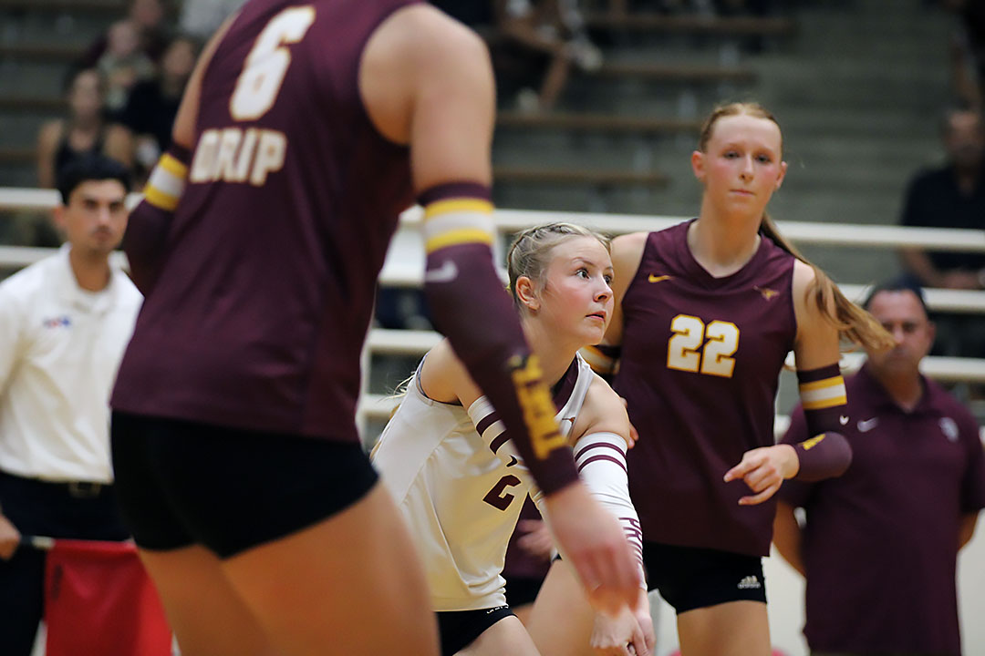 Photos: Dripping Springs vs. Vista Ridge volleyball bi-district playoff ...