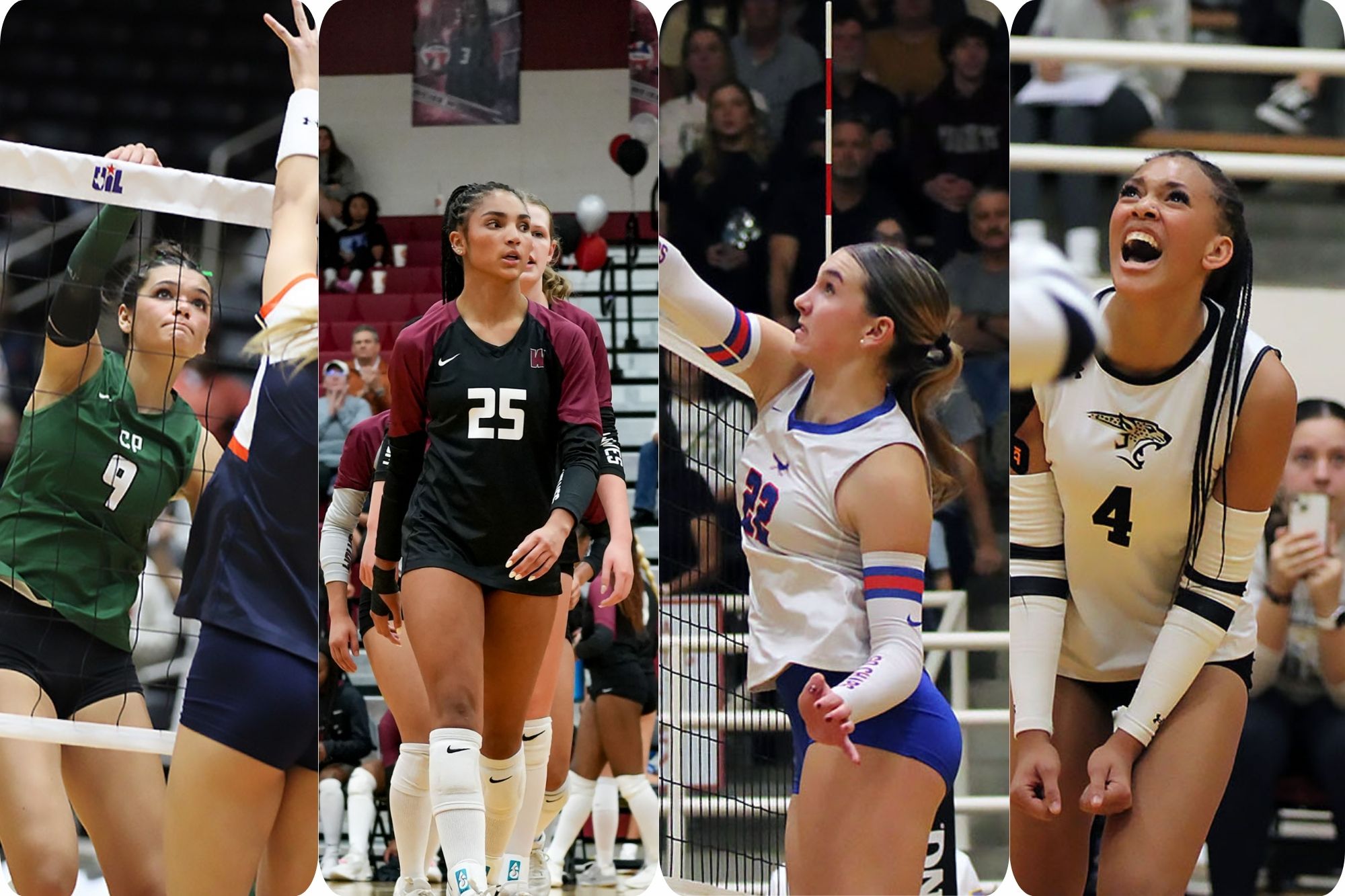 2024 All-Austin Metro Volleyball Team: Individual award winners ...