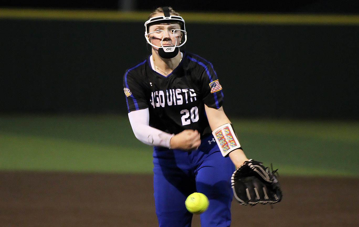 The Austin Sports Journal's 2025 softball all-metro 6A, 5A & 4A-below ...