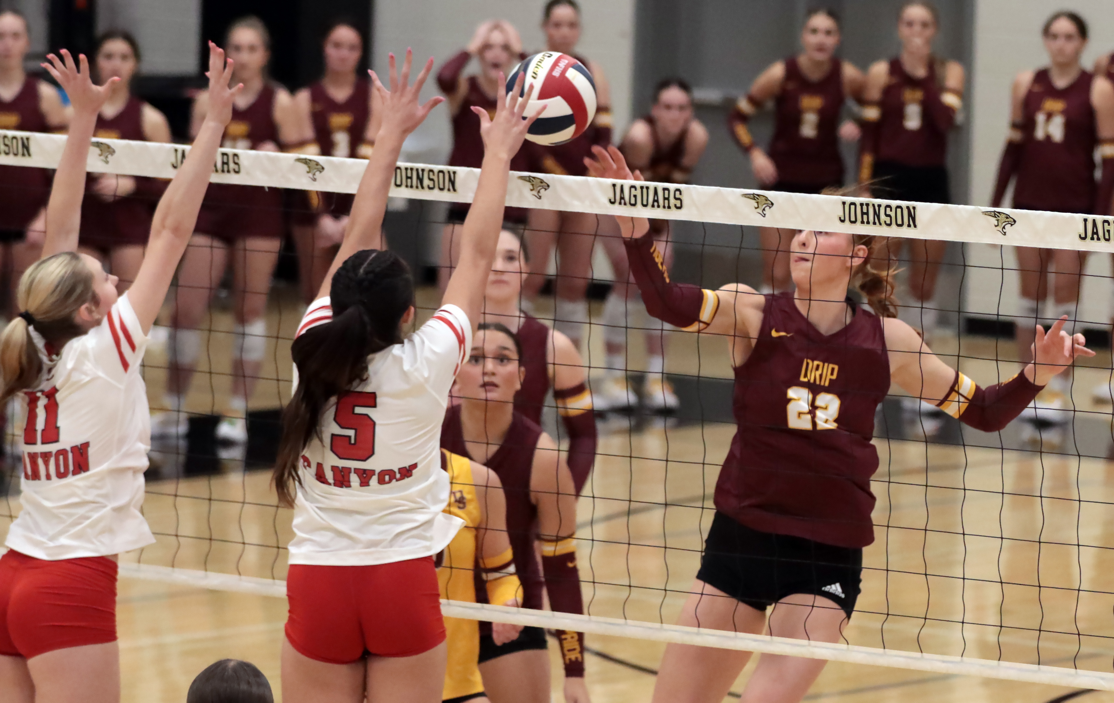 7 Austin volleyball players named as AVCA All-Americans | Austin Sports ...